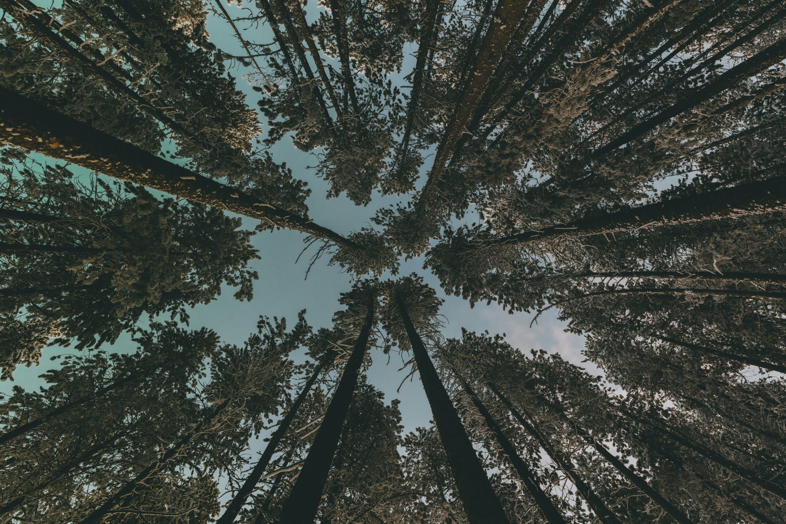 Now is the Time to Make a Difference - JouleBug